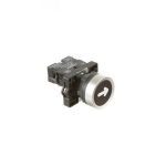 Nút nhấn nhả có Schneider XA2EW33M1 22mm - Codienhaiau.com